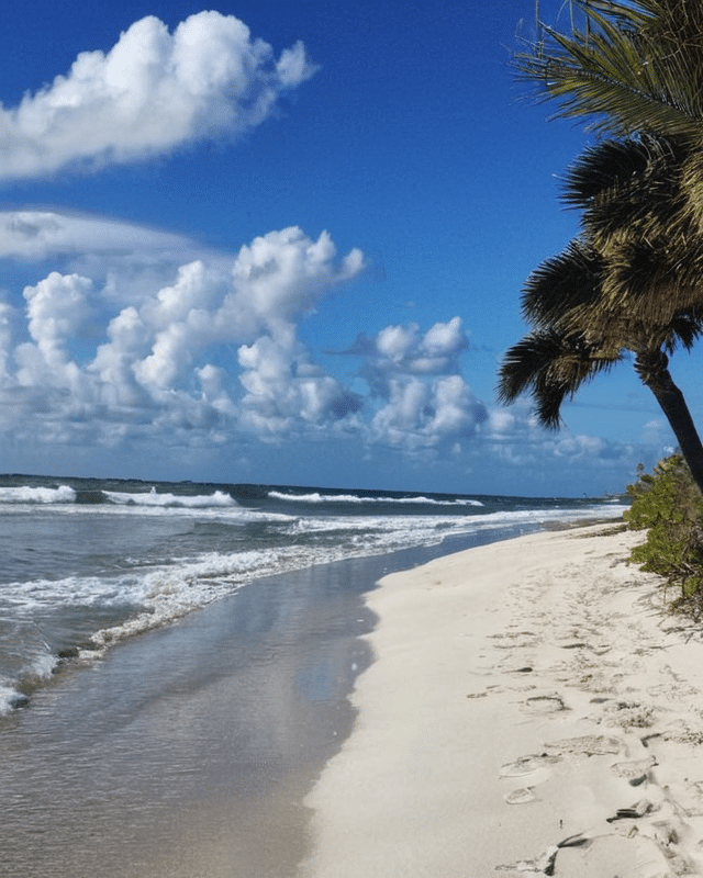 Top 10 Neighborhoods To Live In Port St. Lucie